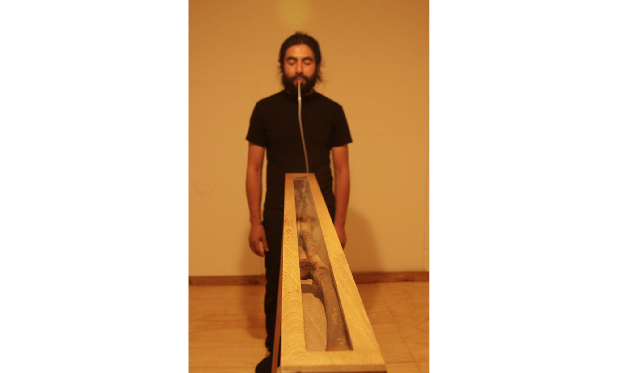 Leonel Vásquez – ARTTEXTUM